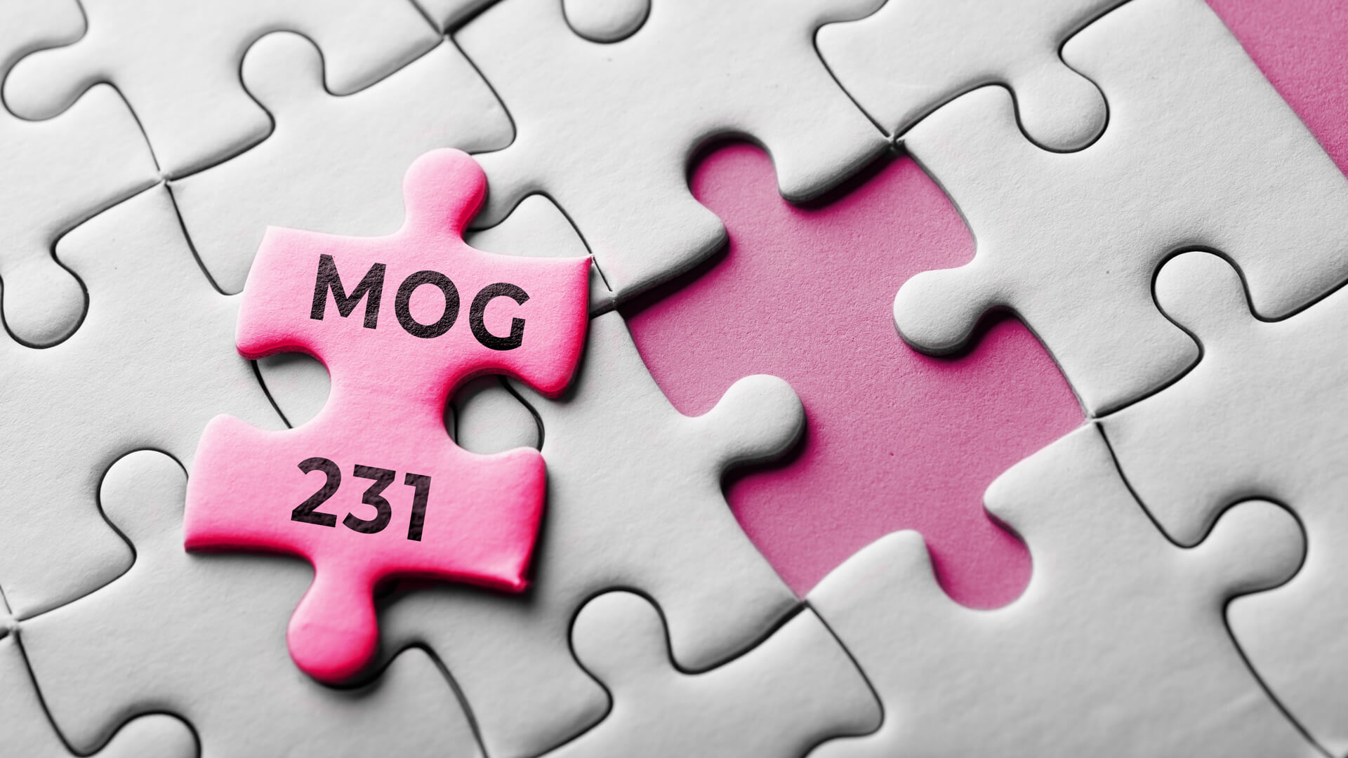 Nuova sezione reati di contrabbando nel modello 231